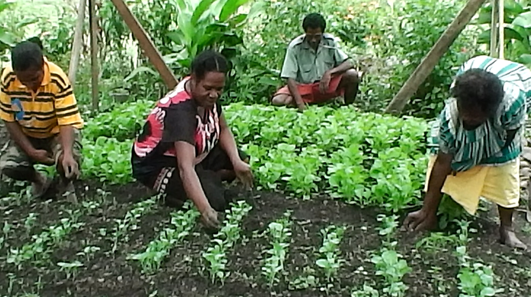 Women empowerment to further agriculture in the Pacific - Pacific ...